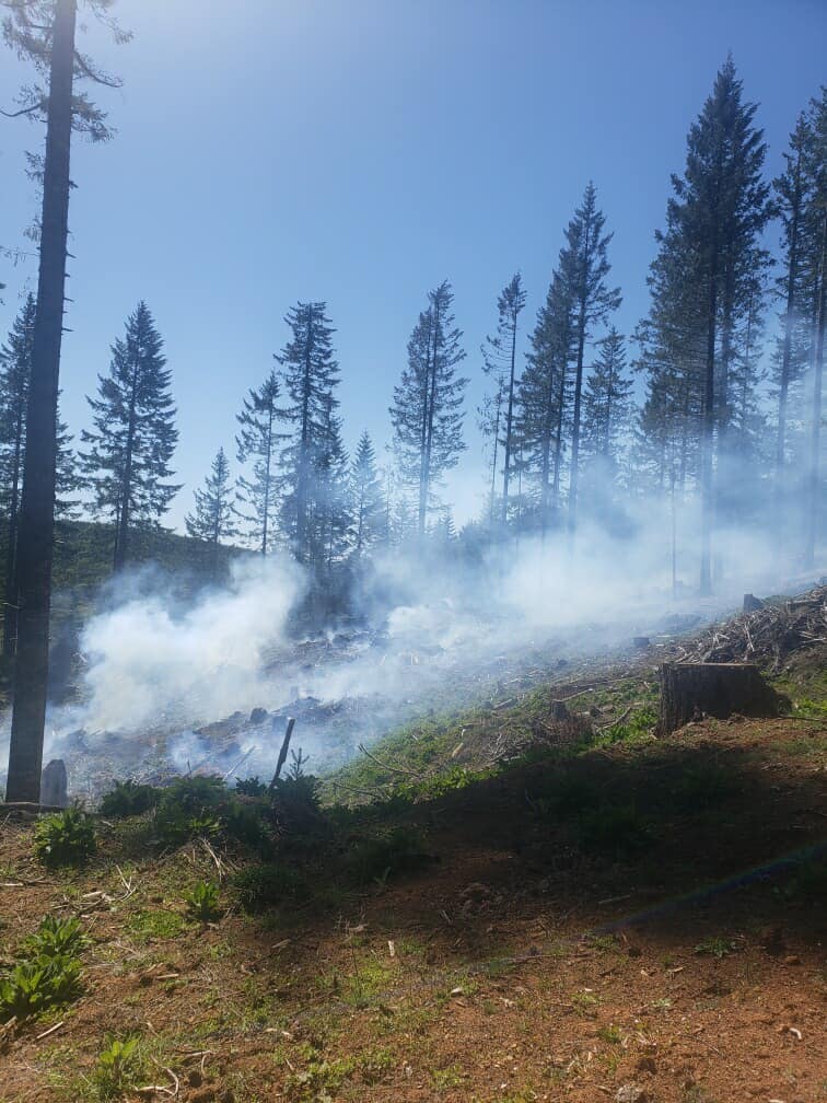 Fire season in local region begins July 1 - Banks Post
